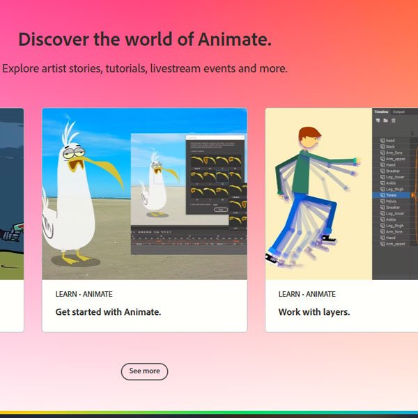 Adobe Animate – Pro for Teams (Level 1) – Store – Virtual Studio ...
